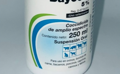 Toltrazuril for Goats - Goat Journal